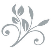 Liza Graves (@styleblueprint) | Stocktwits