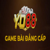 yo88 top (@yo88top) | Stocktwits