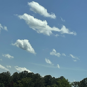 JayC (@no_body) | Stocktwits