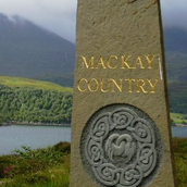 Mackay (@Macktruck) | Stocktwits