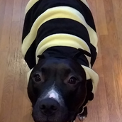 Eric Kratzer (@bluewhackadoo) | Stocktwits