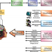 Rem Neur (@remote_neural_monitoring) | Stocktwits