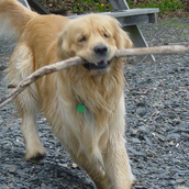 Bill peck (@Iaintsellin) | Stocktwits