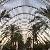 BlueNitrogen (@BlueNitrogen) | Stocktwits