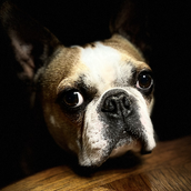 Hayden Pennington (@Hpennington) | Stocktwits