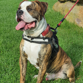 Jamie Knowles (@Jamietrader2711) | Stocktwits