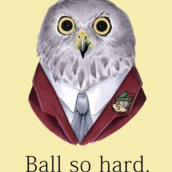 Mike Oxbig (@Kangaroo_destroyer) | Stocktwits