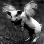 Tgod (@tgod01) | Stocktwits