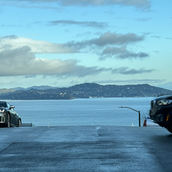 M (@Markmywordusee) | Stocktwits