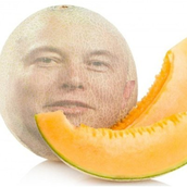 TheBoss (@melon_mask) | Stocktwits