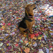 Me (@Slinky_Clorp) | Stocktwits