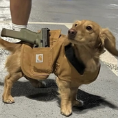 Adam (@Brogato) | Stocktwits