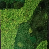 J. Mitchell (@Mossman_BLOCKS) | Stocktwits