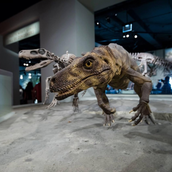 TRREX (@TRREX) | Stocktwits