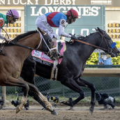 Rocky Prieto (@Rocky_Prieto) | Stocktwits