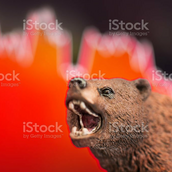 Crab (@Chief_Bull_Made_Bear) | Stocktwits