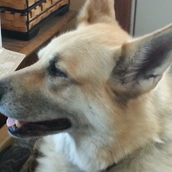 Robert Lemire (@RobertLemire) | Stocktwits