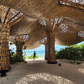 A (@Rassclat) | Stocktwits