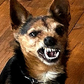 Byron Bishop (@ByBi) | Stocktwits