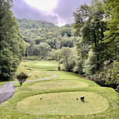 GTC_ (@gtc_) | Stocktwits