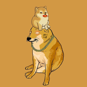 Baby Cheems Inu (@CheemsArmy) | Stocktwits