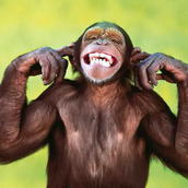 Hugh G. Rection (@BullishAp3) | Stocktwits