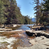 Randal Patrick mcmurphy (@Wallbrook) | Stocktwits