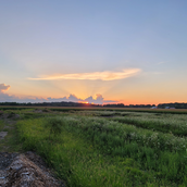 Chris Tefft (@Ctefft) | Stocktwits