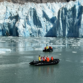 Tammy Pennington (@SummerNights) | Stocktwits