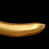 Chris Stevens (@AABB_Gold_Pecker) | Stocktwits