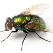 Bob Coyle (@Bob_Coyle) | Stocktwits