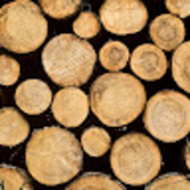 logss (@logss) | Stocktwits